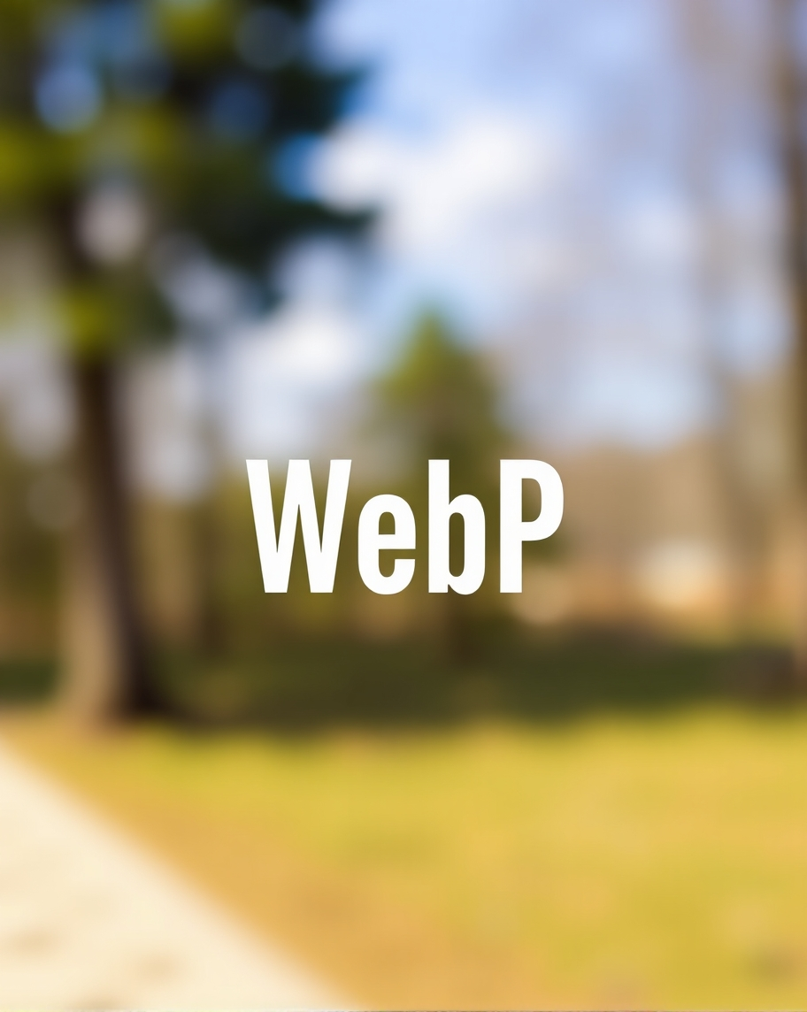 WebP | Web Progressivo